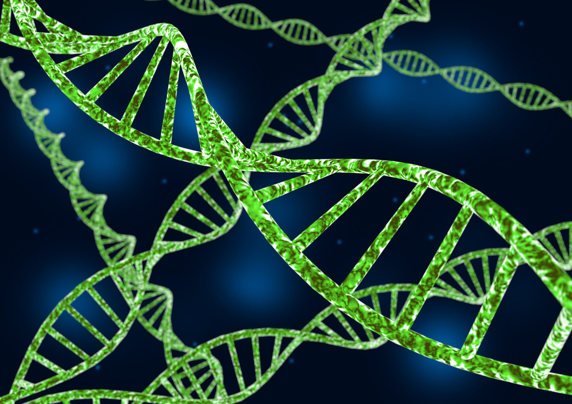 #40 PRIME TIME: Cannabis Genetics – The New Frontier - Mary's Medicinals